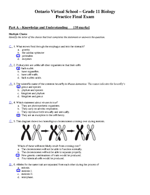 Performance Task - Graphing Conic Sections - Student Guide - Assignment Summary For this ...