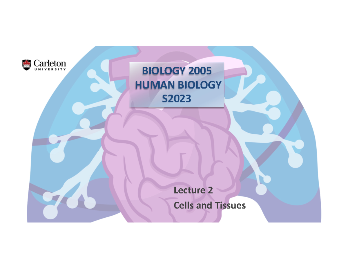Biol 2005 S2023-Lecture 2 - Cells and tissues - BIOLOGY 2005 HUMAN ...
