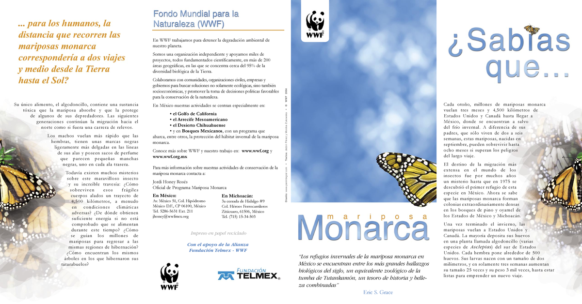 Mmonarca - un increible resumende mariposas - “Los refugios invernales ...