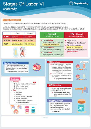 Newborn concept map - Medications IV Sites/Fluids/Rate: Past Medical ...