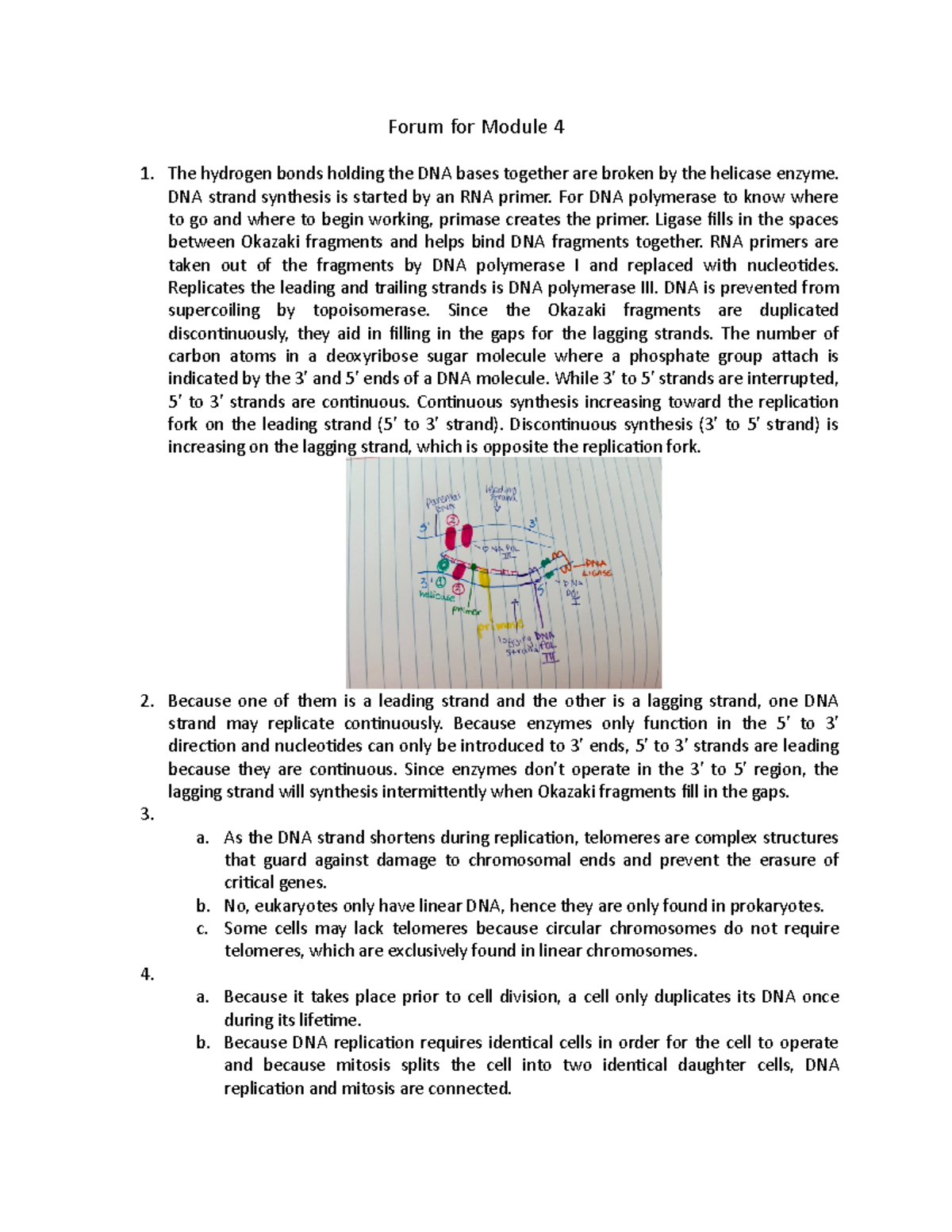 Forum for Module 4 - Classwork week 4. - Forum for Module 4 The hydrogen bonds holding the DNA ...