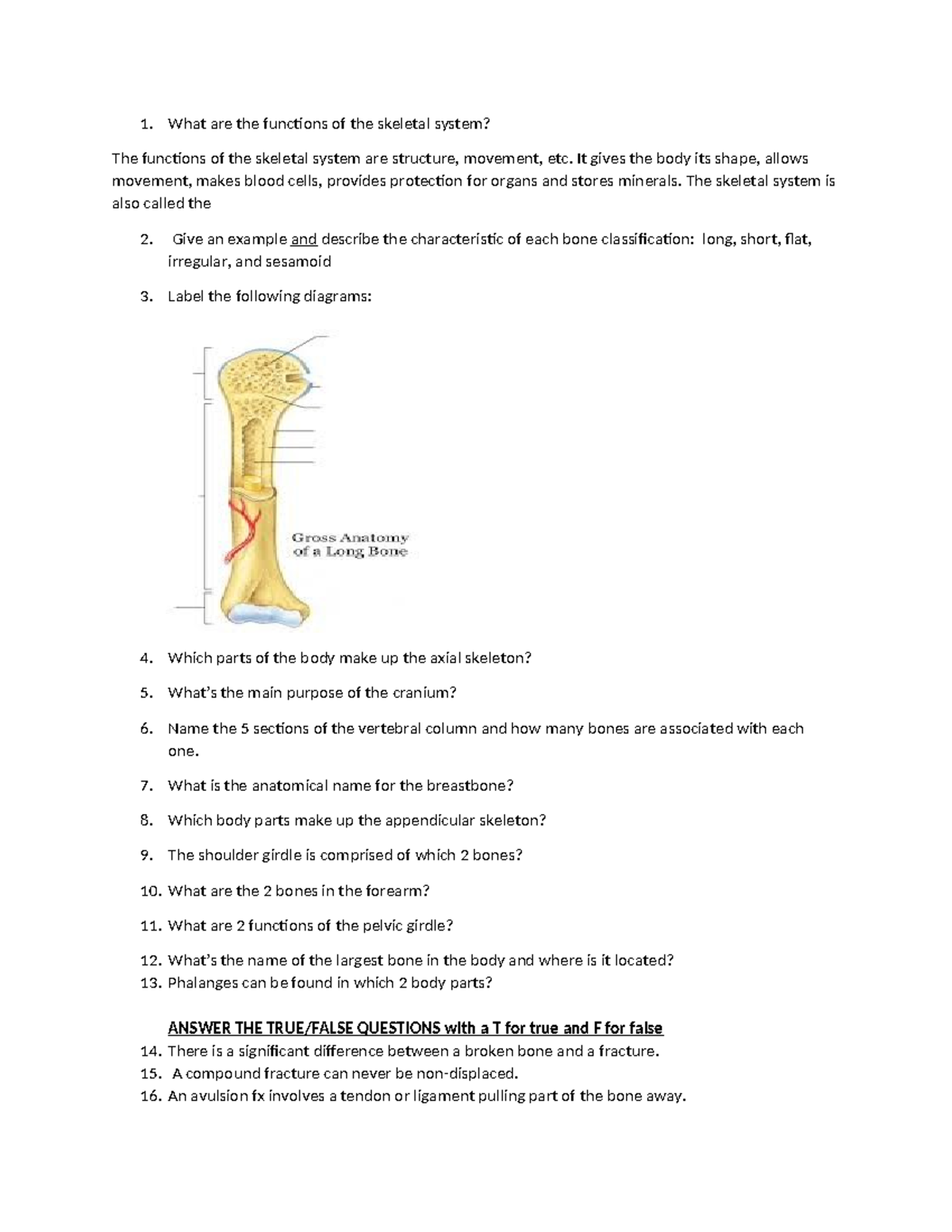 Comprehensive anatomy assignment - What are the functions of the ...