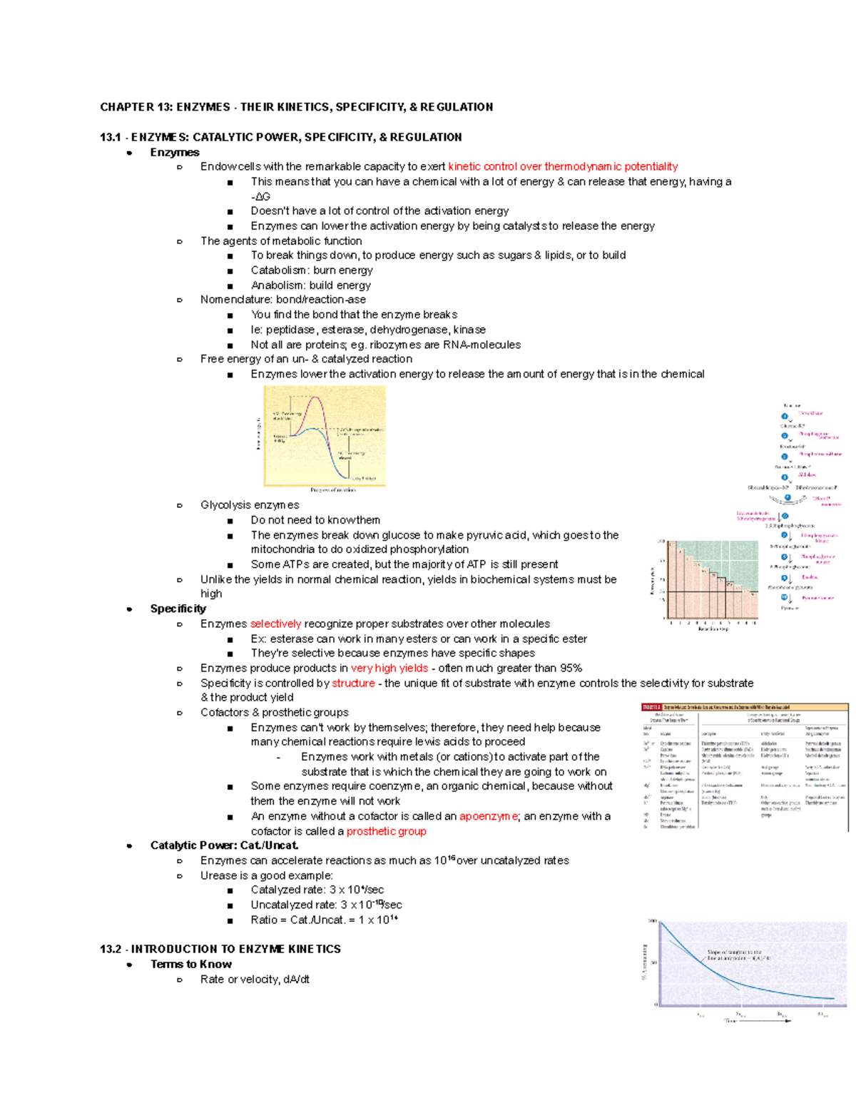 BCH 3033 Chp 13 Notes - CHAPTER 13: ENZYMES - THEIR KINETICS ...