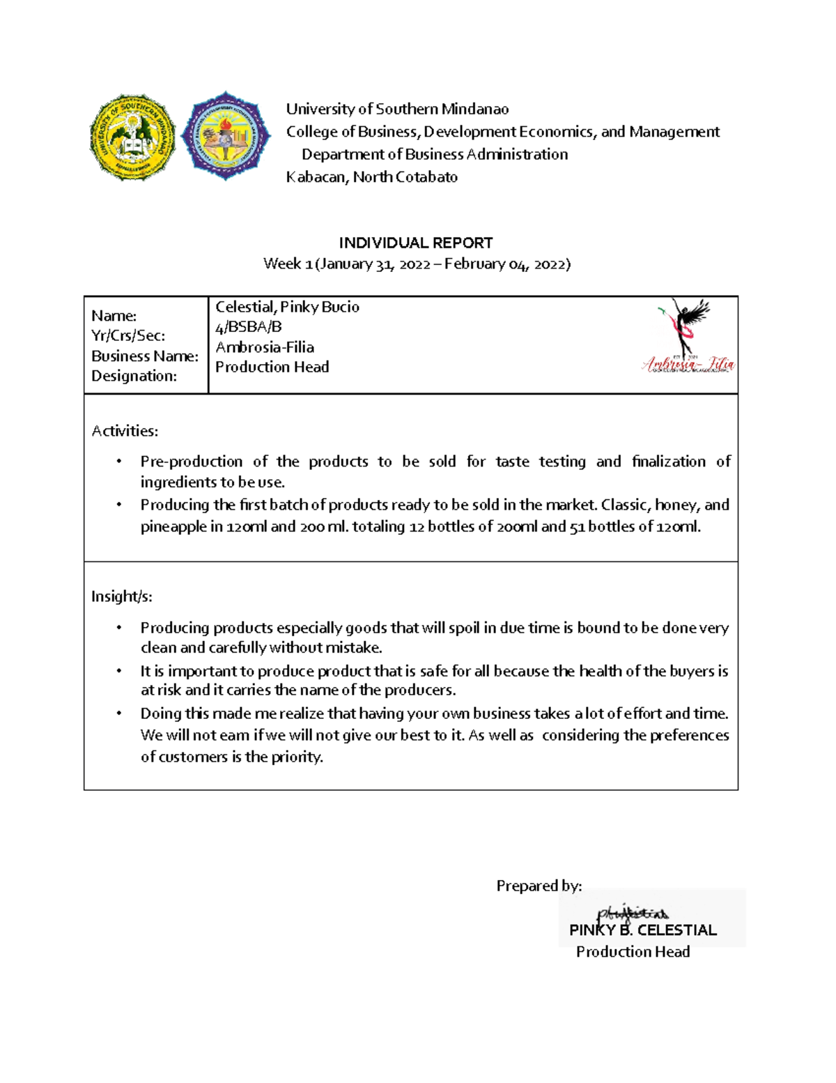 business enterprise individual report lay-out - University of Southern ...