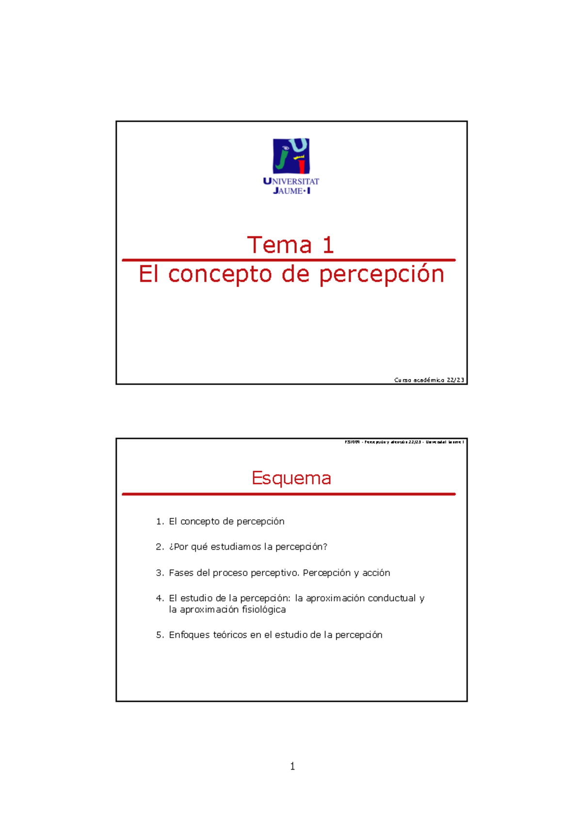 Tema 1 Concepto DE Percepcion - Curso académico 22/ Tema 1 El concepto ...