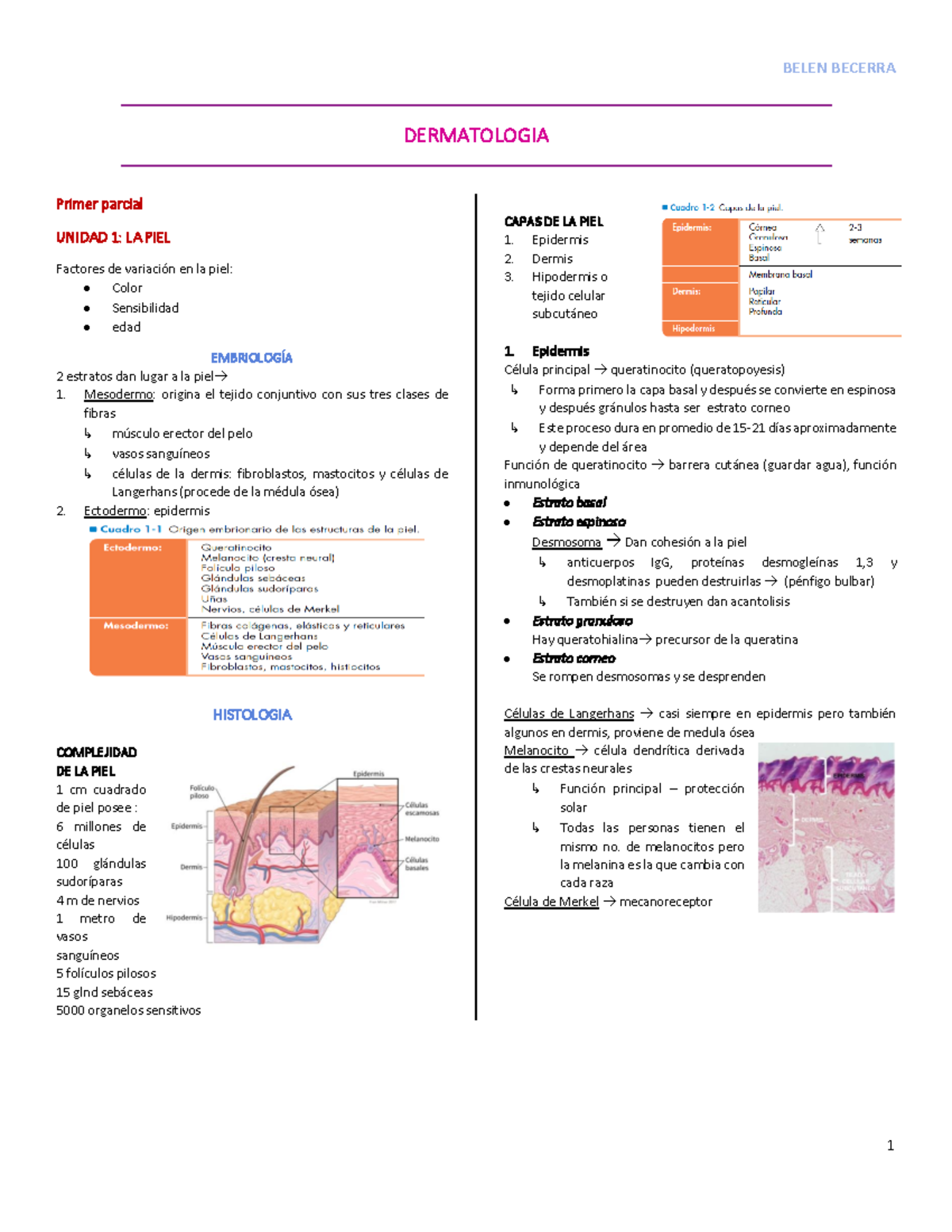 Primer Parcial Derma - Warning: TT: undefined function: 32 DERMATOLOGIA ...