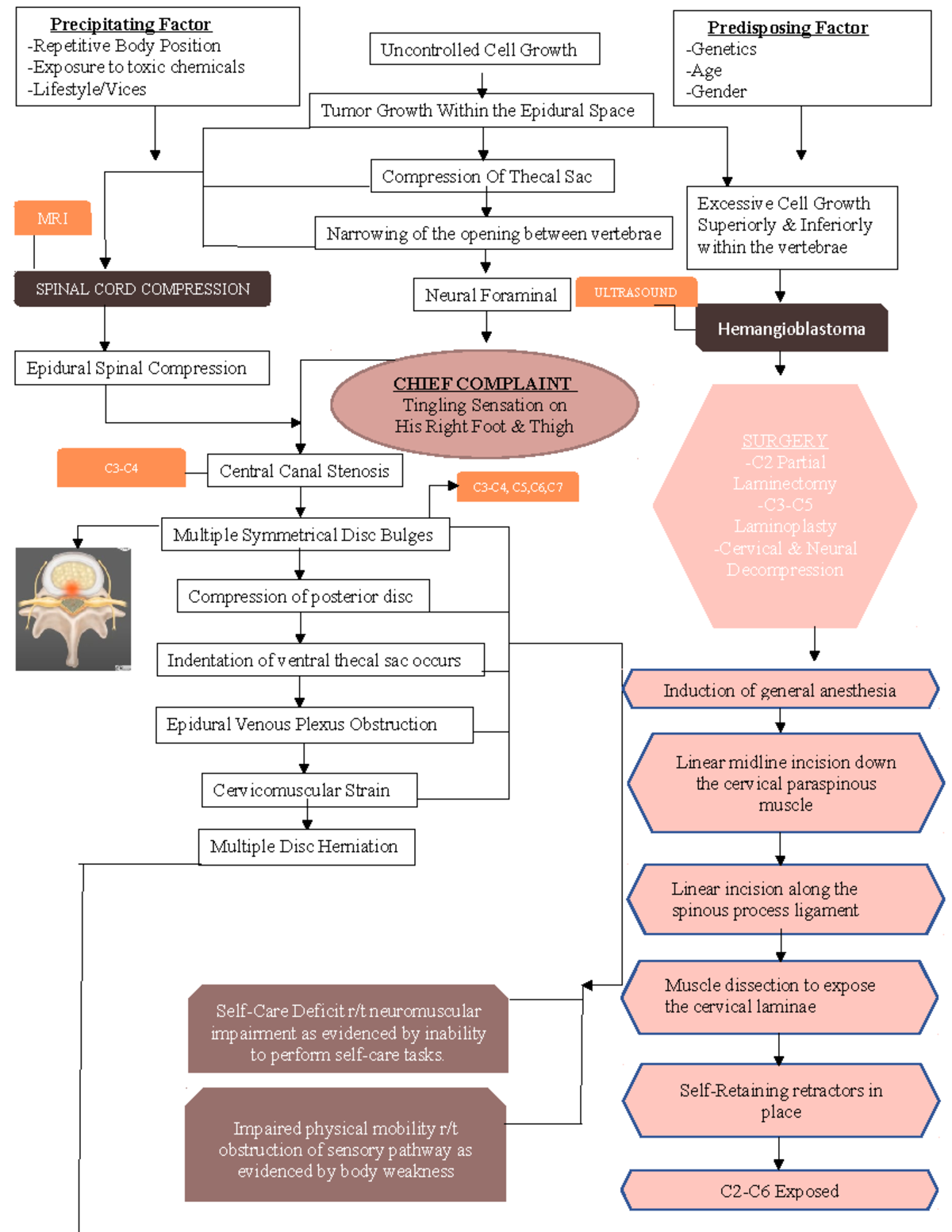 Quad-patho-final - NONE - Predisposing Factor -Genetics -Age -Gender ...