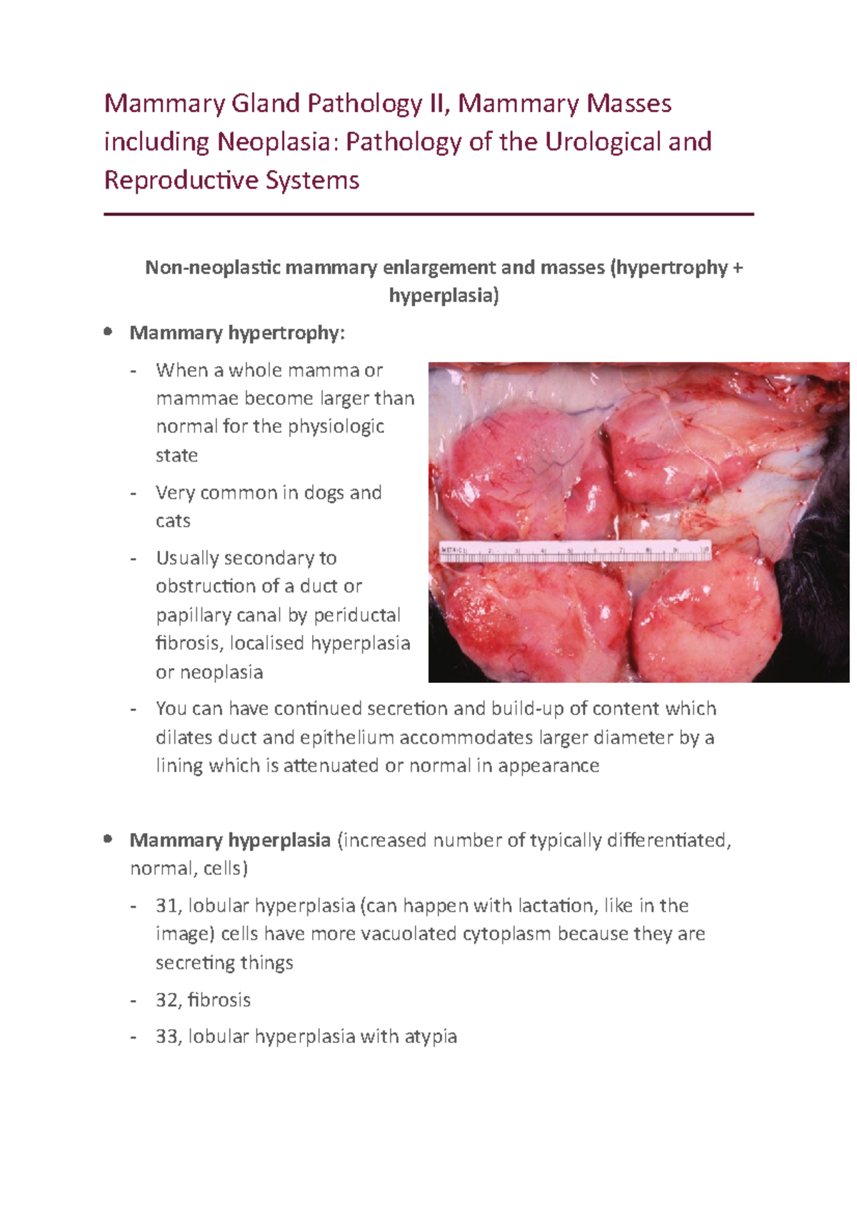 Mammary Gland Pathology II neoplasia PURS - Mammary Gland Pathology II ...