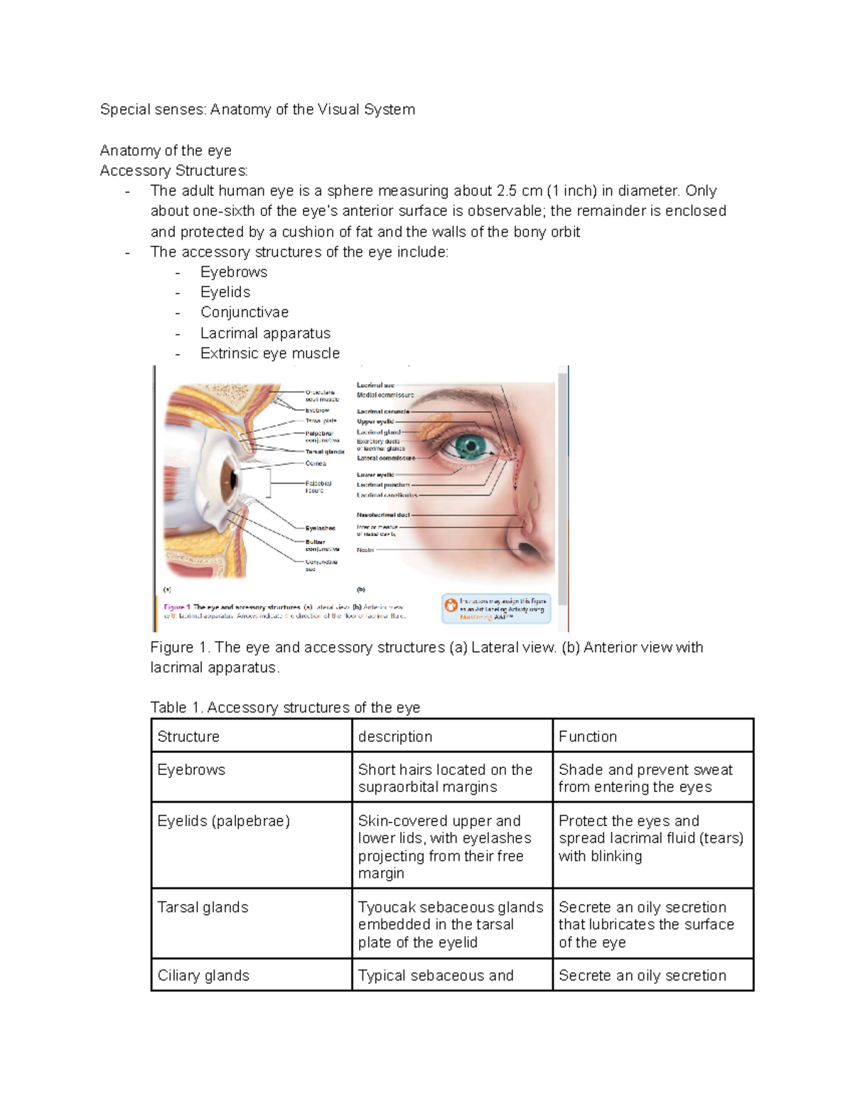 BSCI201 Practical 3 - practice - Special senses: Anatomy of the Visual ...