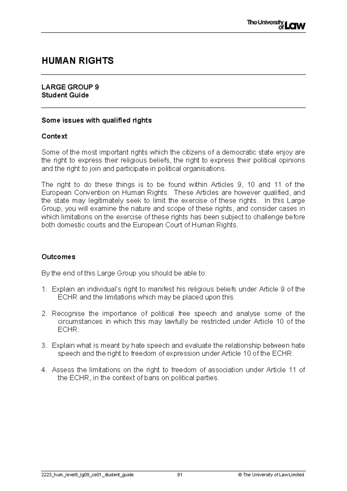 Human Rights LG9 - HUMAN RIGHTS LARGE GROUP 9 Student Guide Some issues ...
