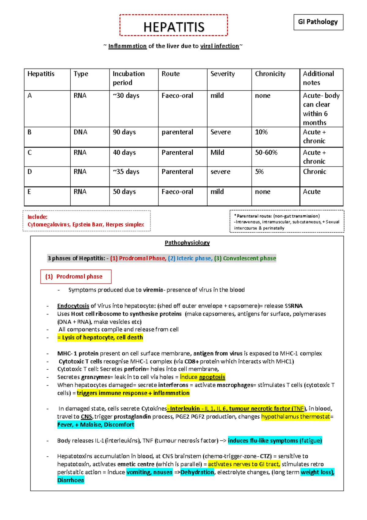 GI Path- Hepatitis - Warning: TT: undefined function: 32 Warning: TT: undefined function: 32 ...
