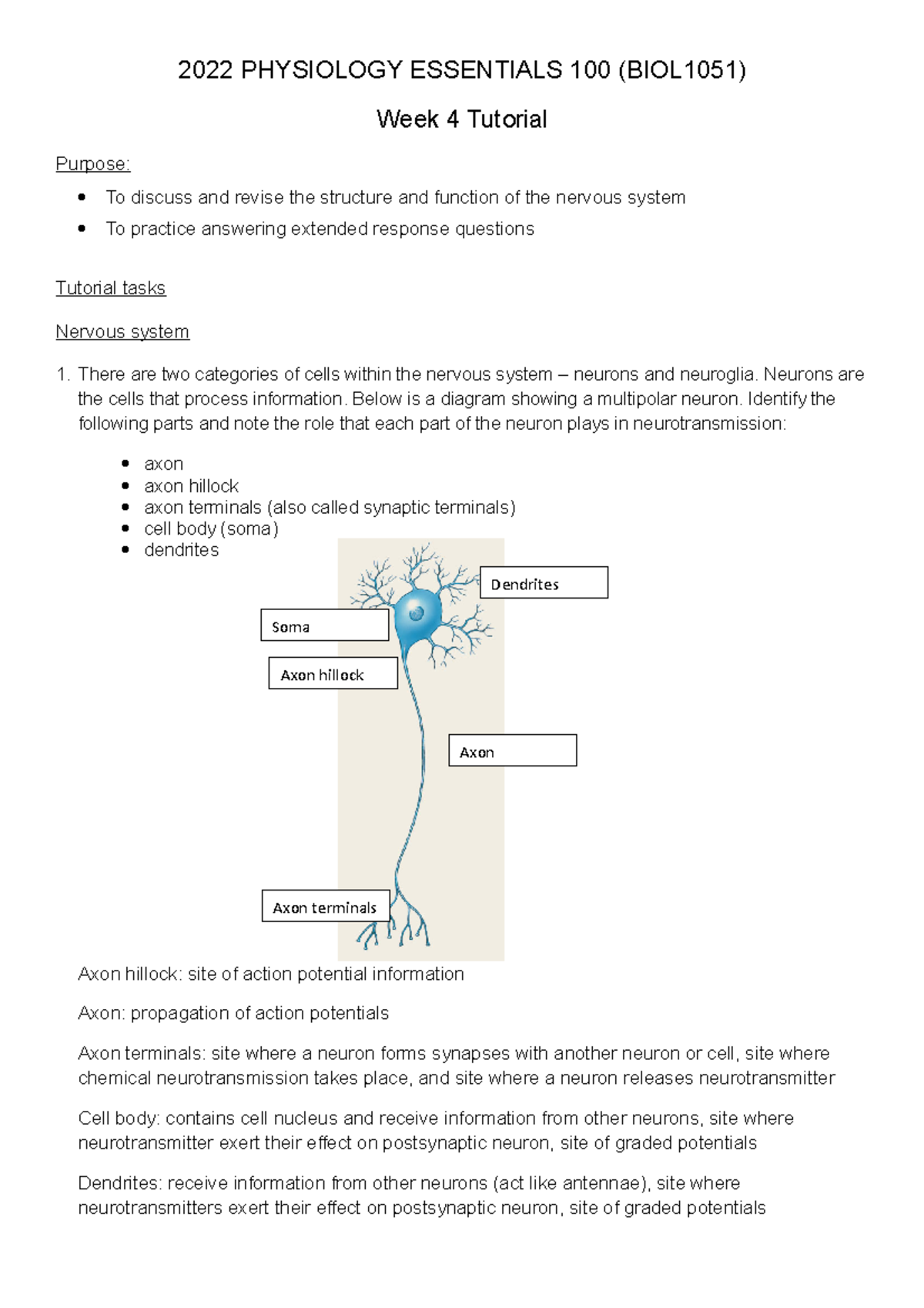 2022 nervous system week 4 tutorial - 2022 PHYSIOLOGY ESSENTIALS 100 ...
