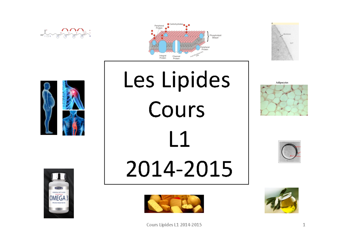 Lipides ue21 cours 1 2 2015 - Les Lipides Cours L 2014-­‐ Défini6ons 9 Composants 2 Groupes 2 ...