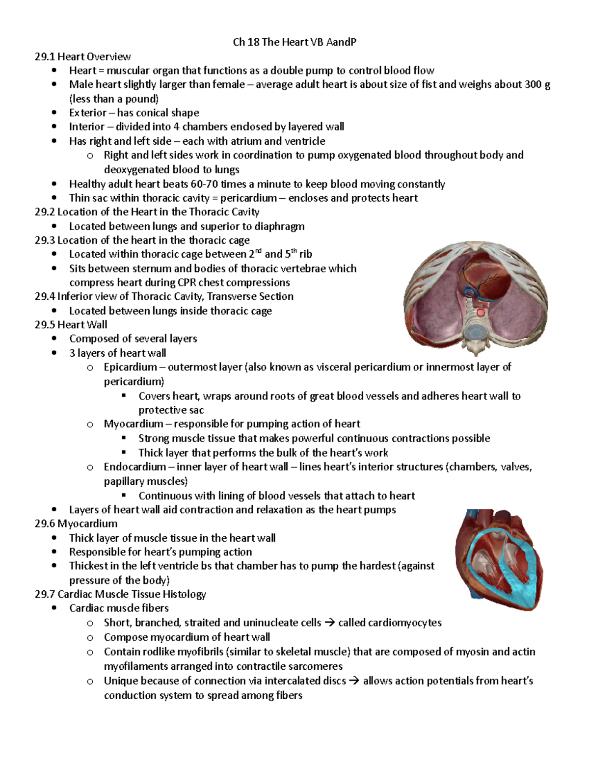 Ch 18 The Heart VB Aand P - Studocu