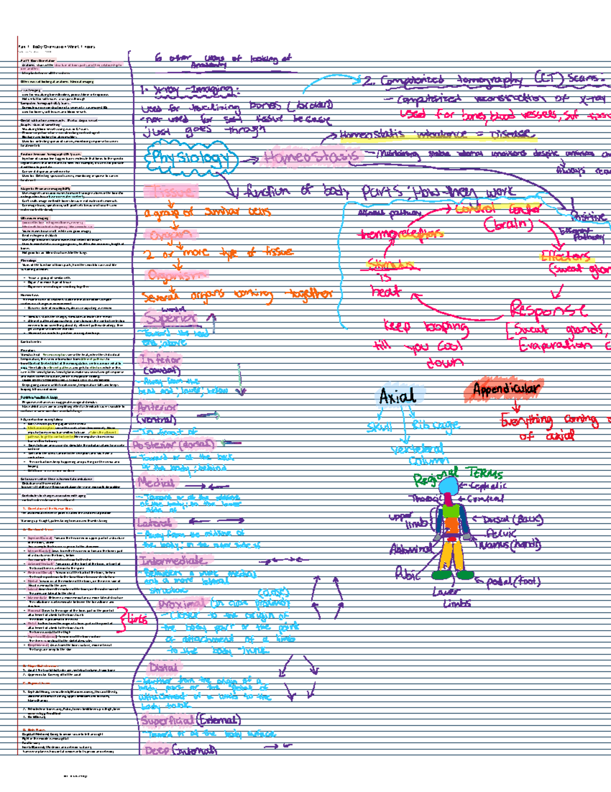 Part 1 Body Orientation Week 1 notes - Part 1: Body Orientation ...