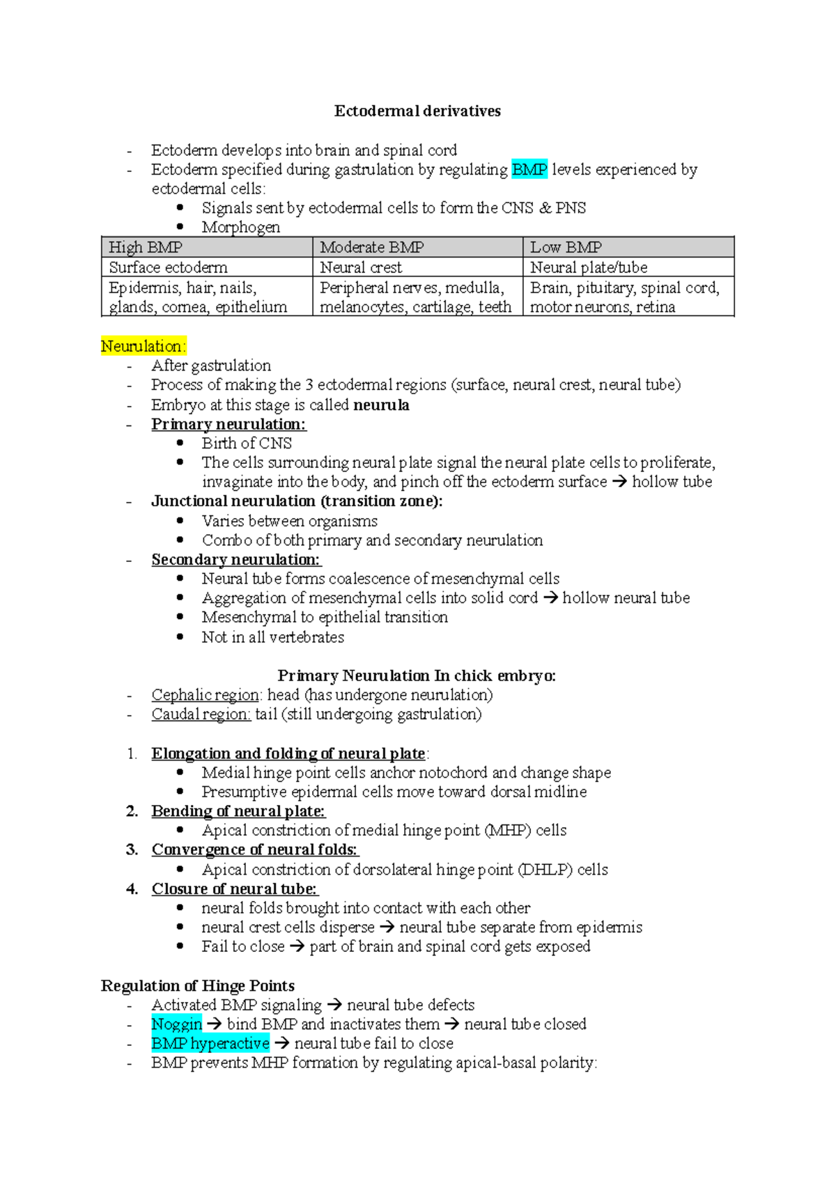 Ectodermal Derivatives Ectodermal Derivatives Ectoderm Develops Into