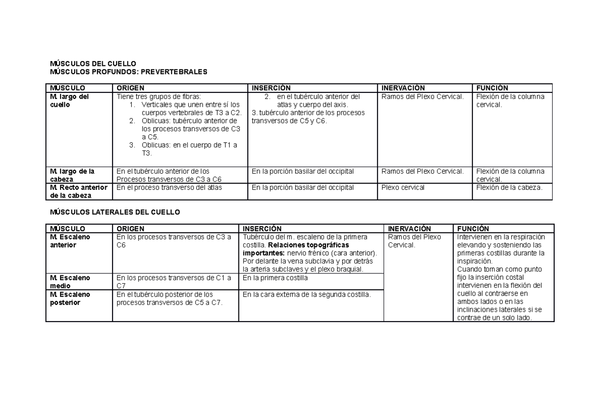 Músculos DE Cabeza Y Cuello 094421 - MÚSCULOS DEL CUELLO MÚSCULOS ...