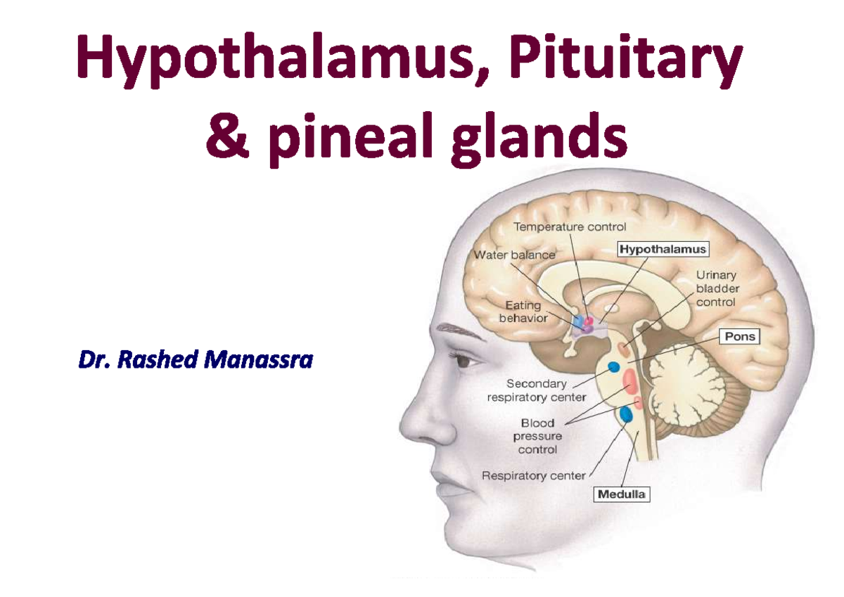 Phisyo 1 - physiology - anatomy and physiology - Studocu
