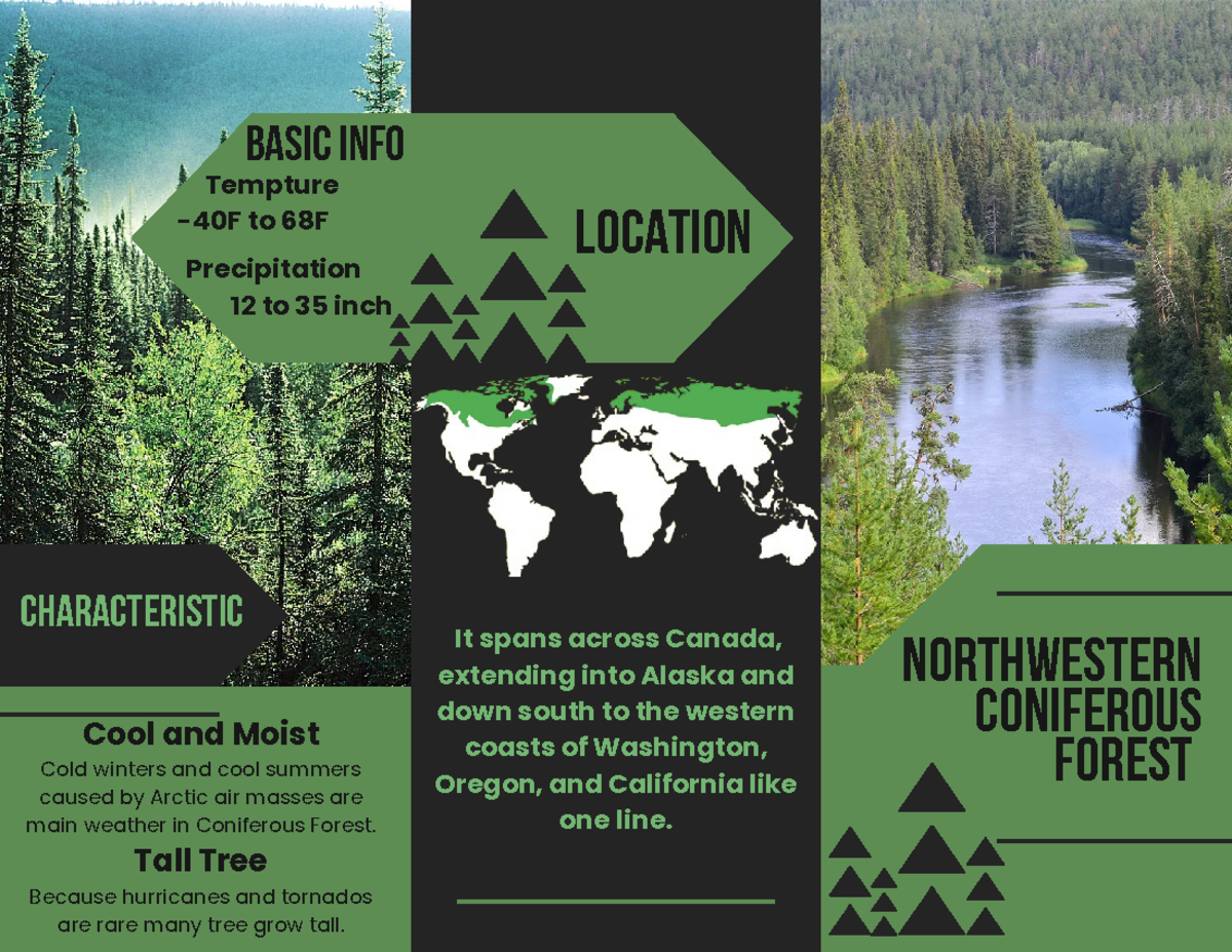 Www - aaa - Northwestern coniferous forest LOCATION It spans across ...