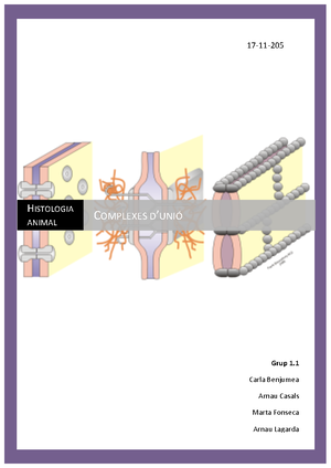 T2. Teixit epitelial - Apuntes Histologia Animal - T2. TEIXIT EPITELIAL ...