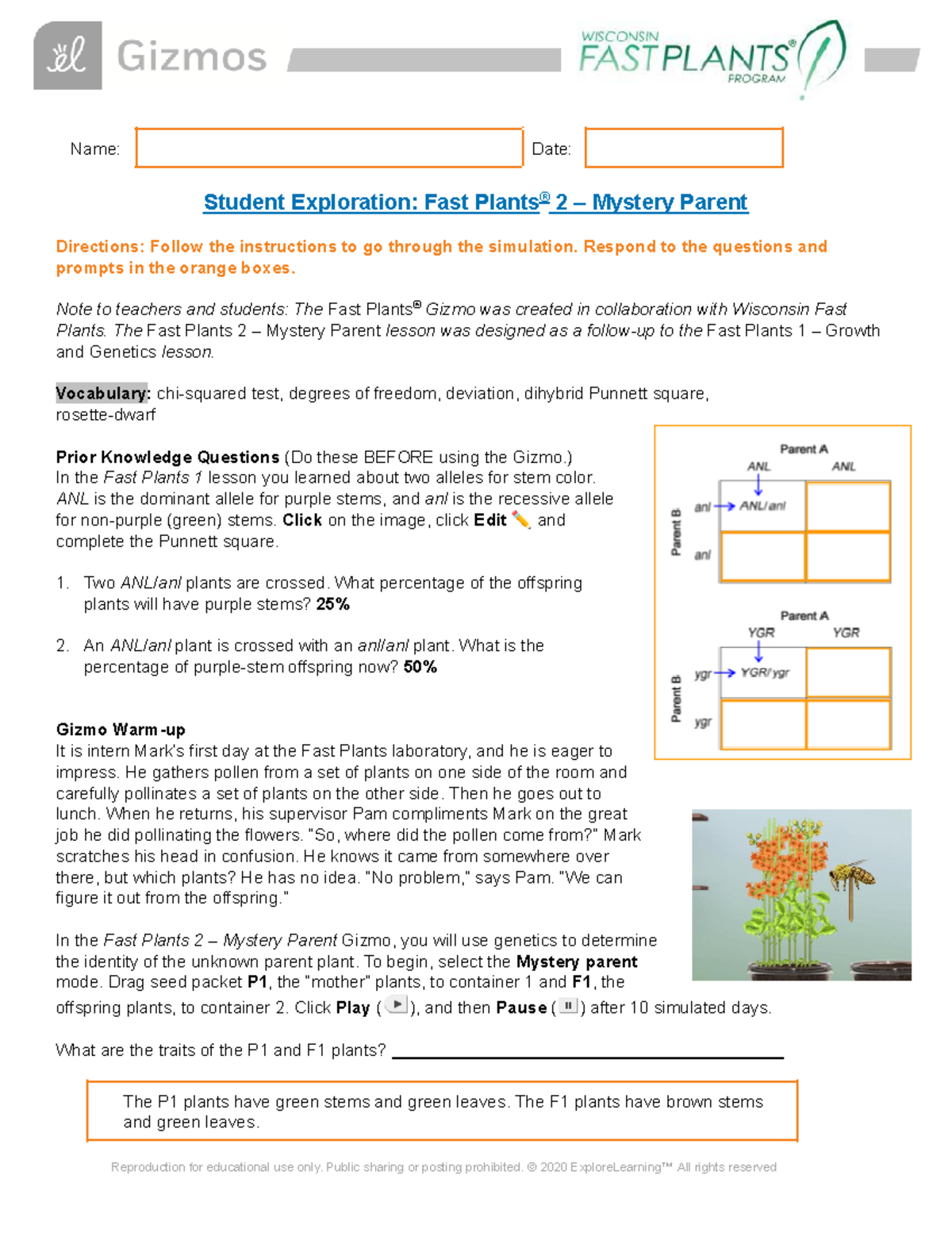 Copy of Fast Plants 2 Gizmos - Name: Date: Student Exploration: Fast ...