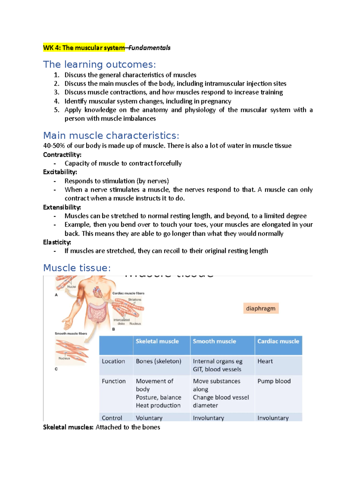 WK 4-muscular system - WK 4: The muscular system–Fundamentals The ...