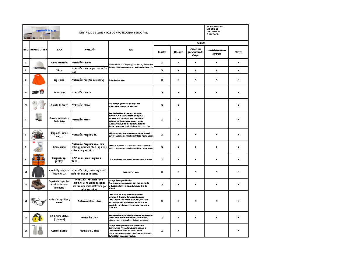 9.- Matriz de EPP - formatos - Capataz Maestro Asesor en prevencion de ...