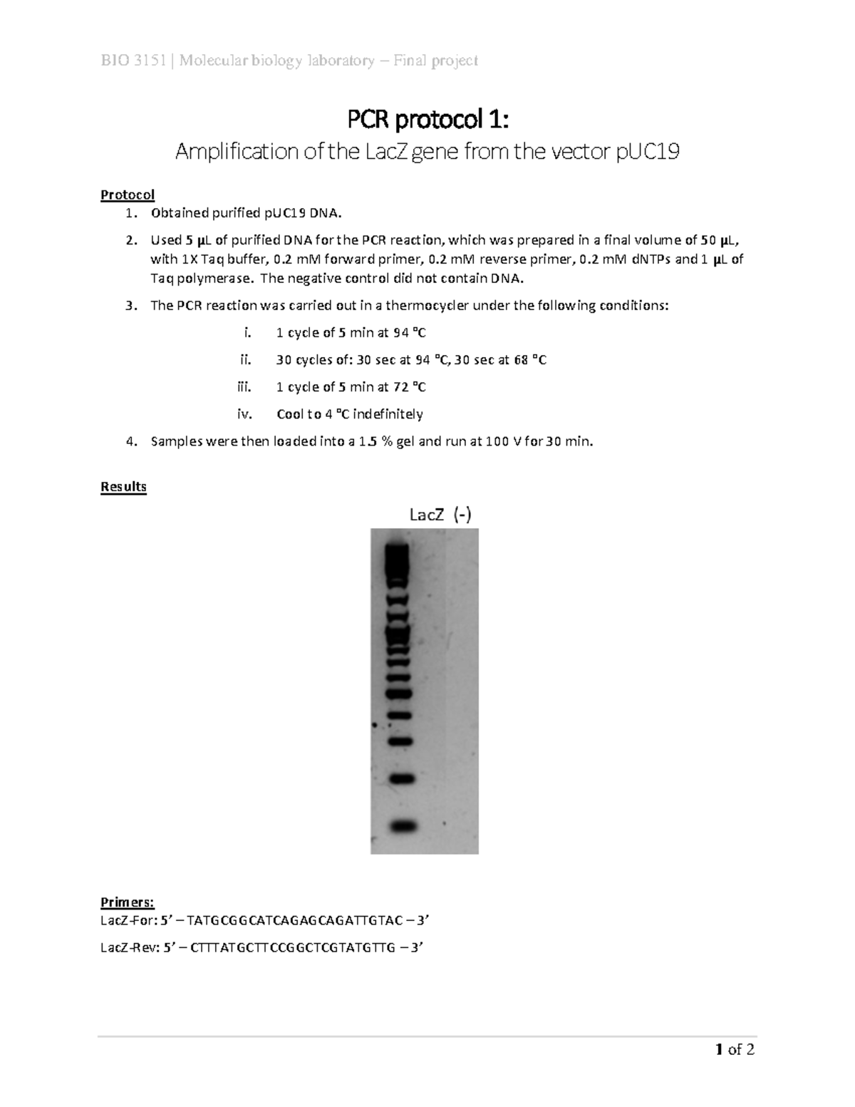 PCR protocol 1 [EN] - final - BIO 3151 | Molecular biology laboratory ...