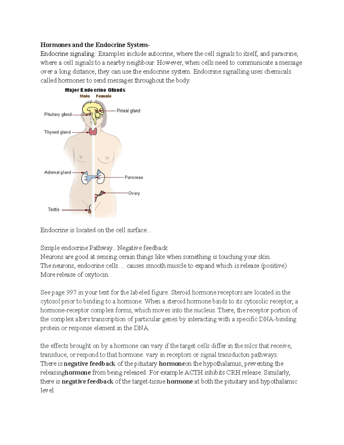 45 & 48 - lecture - Hormones and the Endocrine System- Endocrine ...