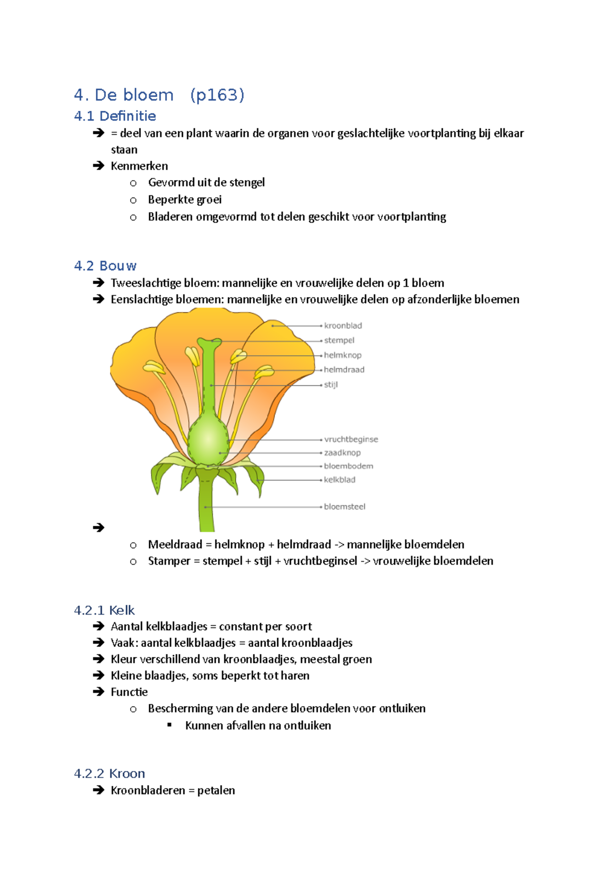 Hoofdstuk 8 (deel 2): morfologie - 4. De bloem (p163) 4 Definitie deel ...