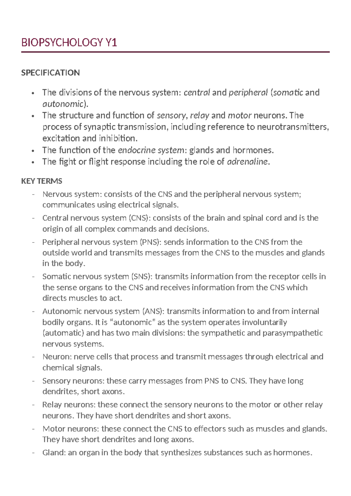 Biopsychology Y1 Notes - BIOPSYCHOLOGY Y SPECIFICATION The divisions of ...