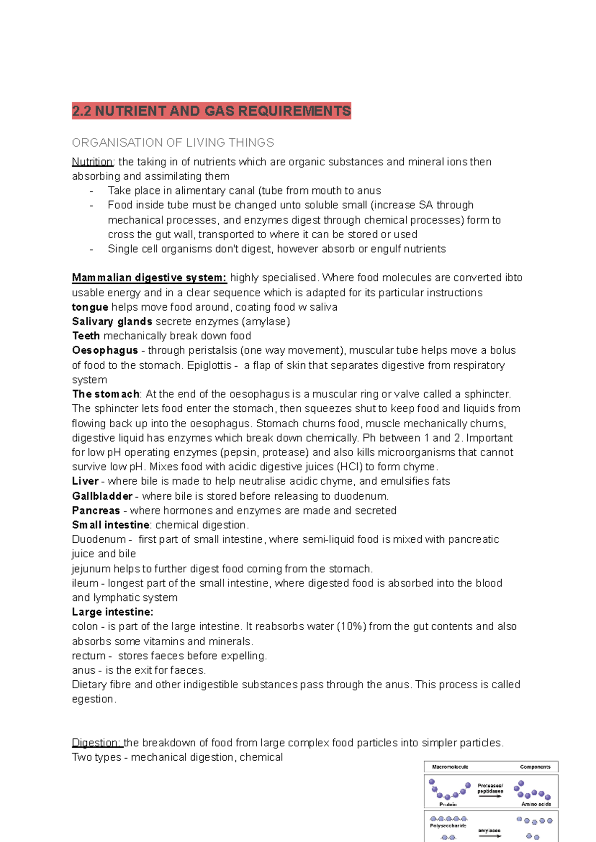 Biology mod 2.2-4.2 - Google Docs - 2 NUTRIENT AND GAS REQUIREMENTS ...