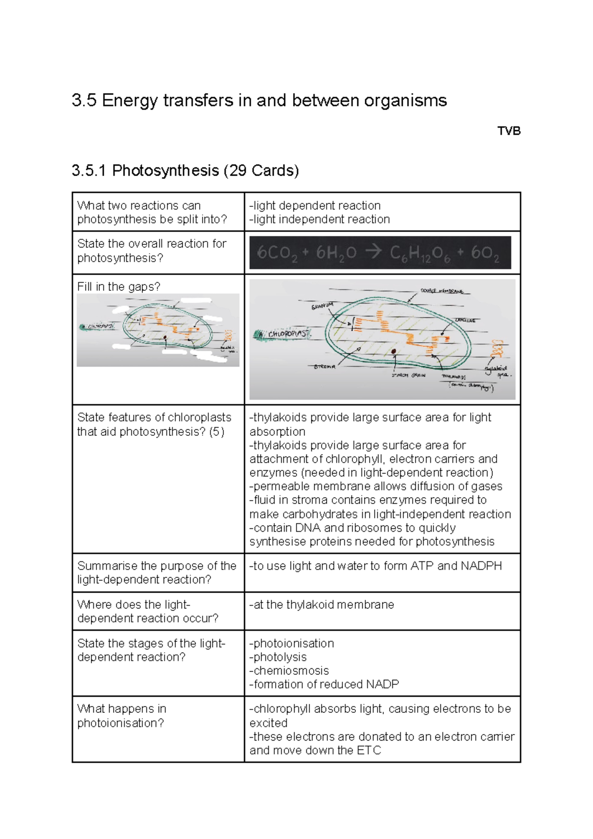 Section 5 Energy transfers in and between organisms Notes - 3 Energy ...