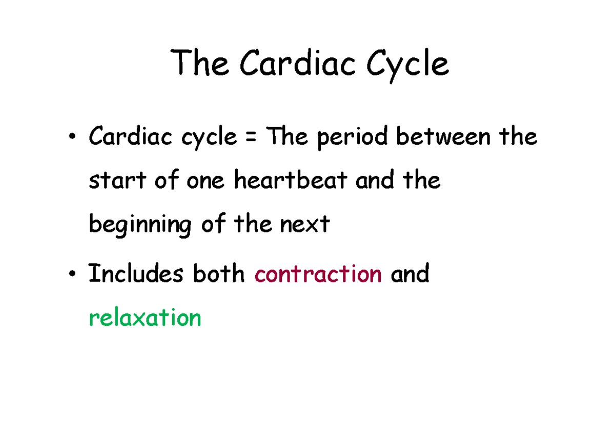 Lecture notes, lecture 1 - Cardiodynamics - The Cardiac Cycle Cardiac ...