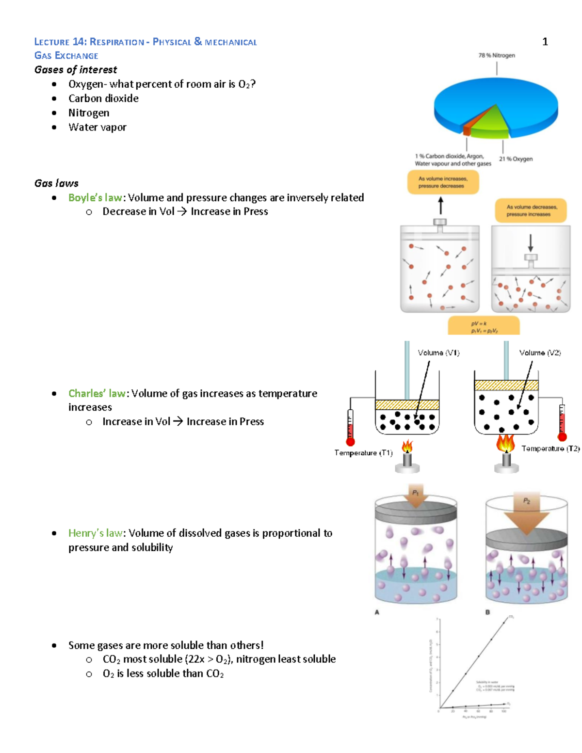 Lecture 14- Respiration - GAS EXCHANGE Gases of interest - Oxygen- what ...