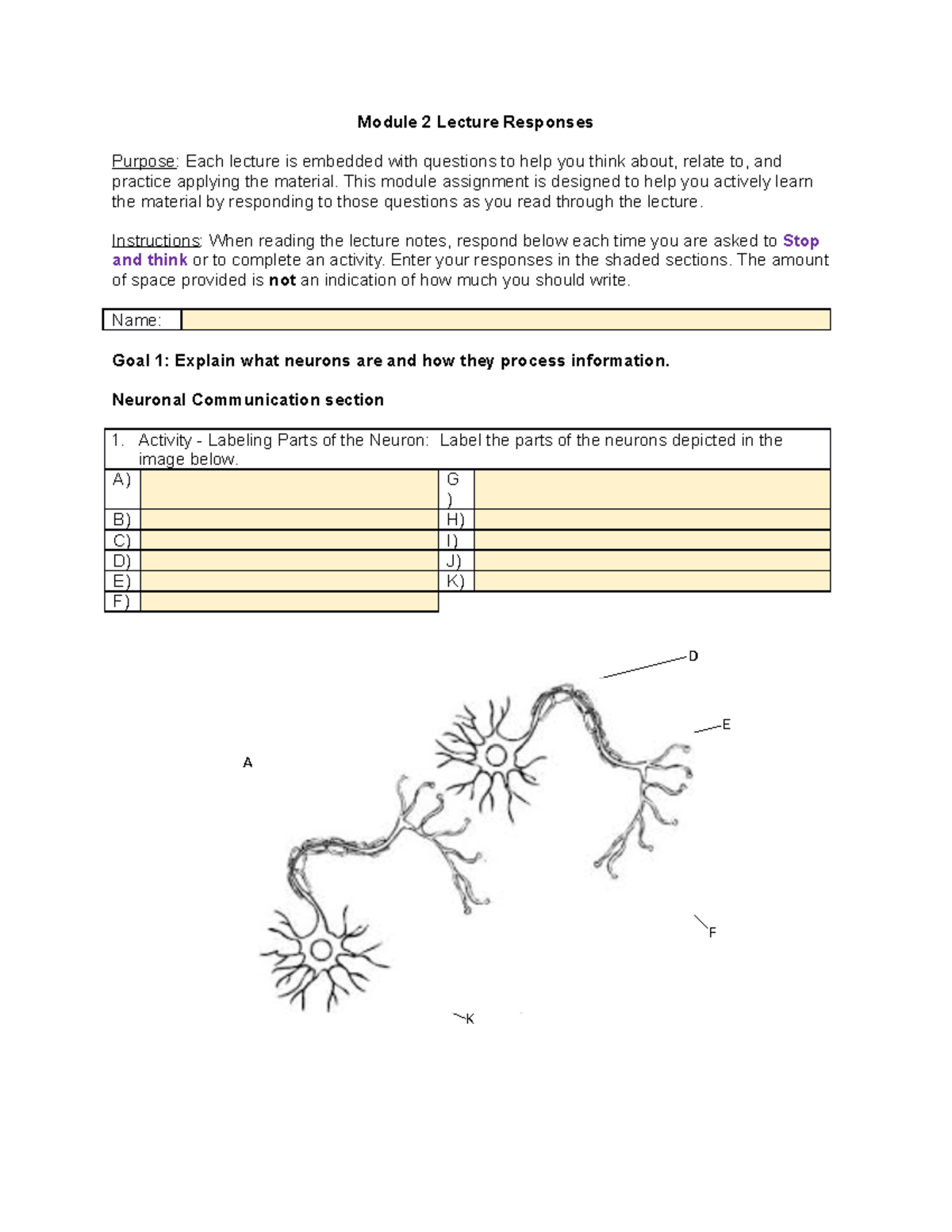 Module 2 Lecture Responses Module 2 Lecture Responses Purpose Each