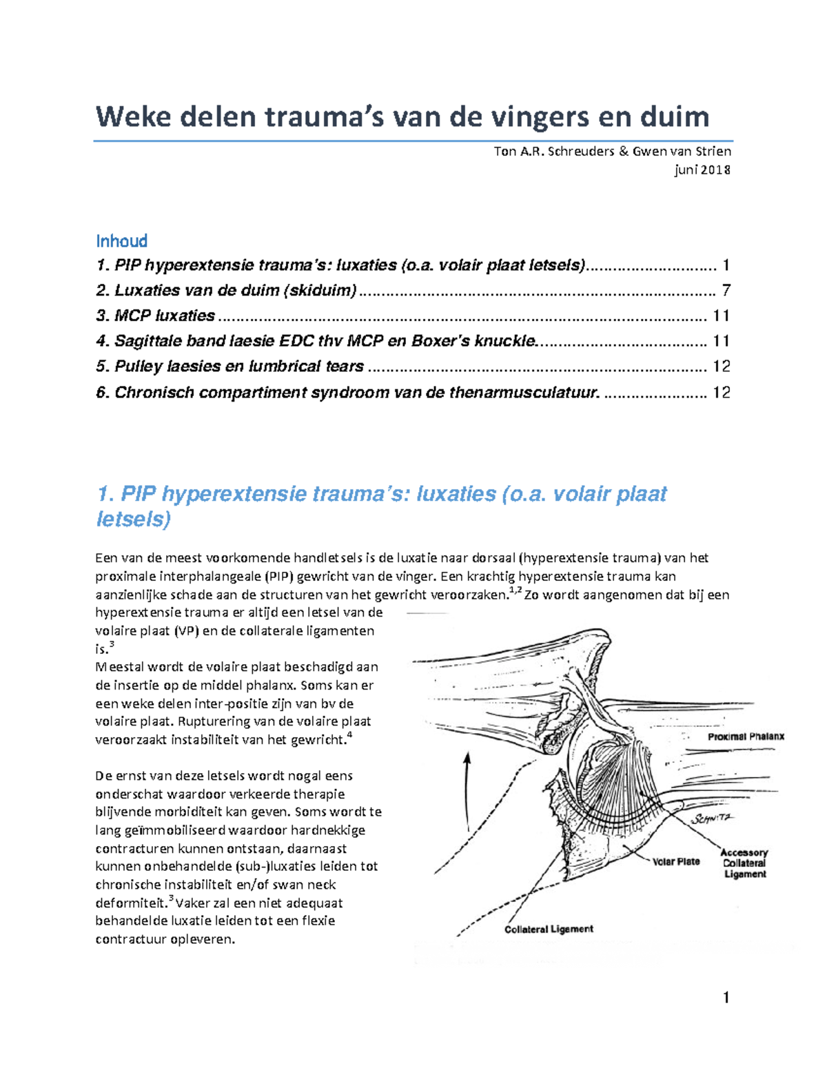 4Weke delen letsels POHT 2018 - Weke delen trauma’s van de vingers en ...