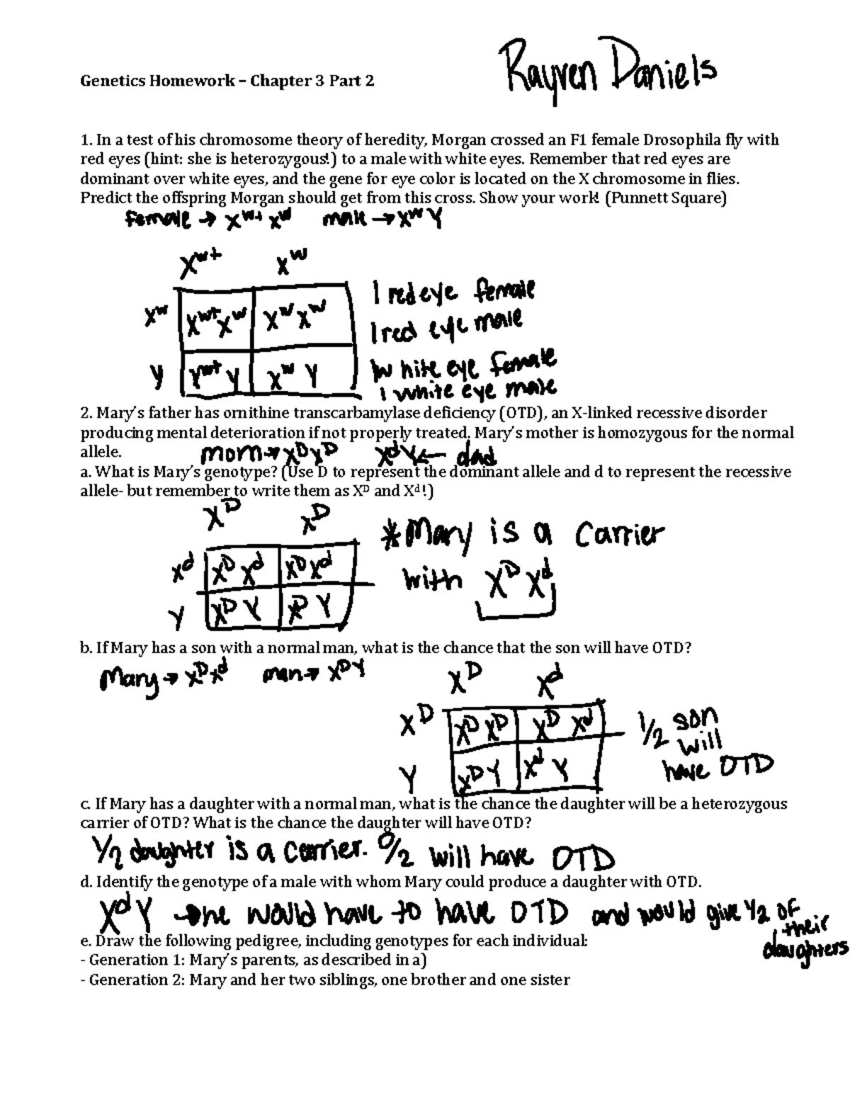 Genetics Homework – Chapter 3 Part 2 - Genetics Homework – Chapter 3 ...