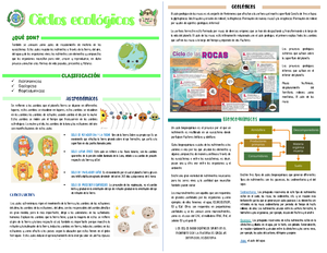 Reglas basicas programacion C - Reglas básicas de la programación en ...