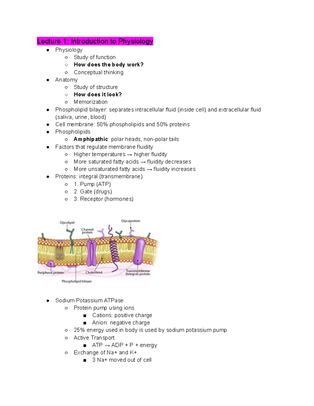 Biol 336 Unit 1 Notes - Lecture 1: Introduction to Physiology ...