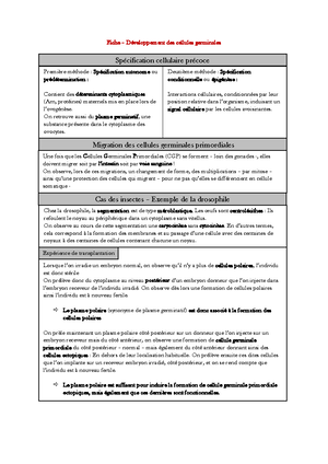 4-Chervet Organo Intestin Primitif - Organogenèse-Chevret LE ...