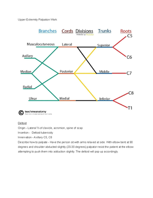 Module 1 - Module 1 Introduction HS 365: Cardinal planes of motion ...