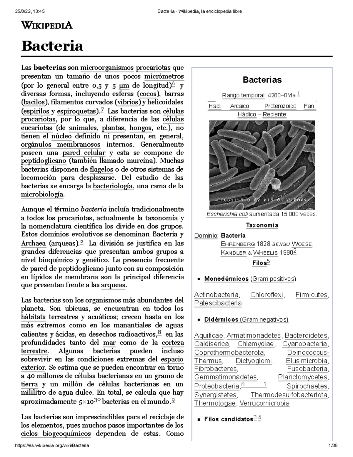 Bacteria - Wikipedia, la enciclopedia libre - Bacterias Rango temporal ...