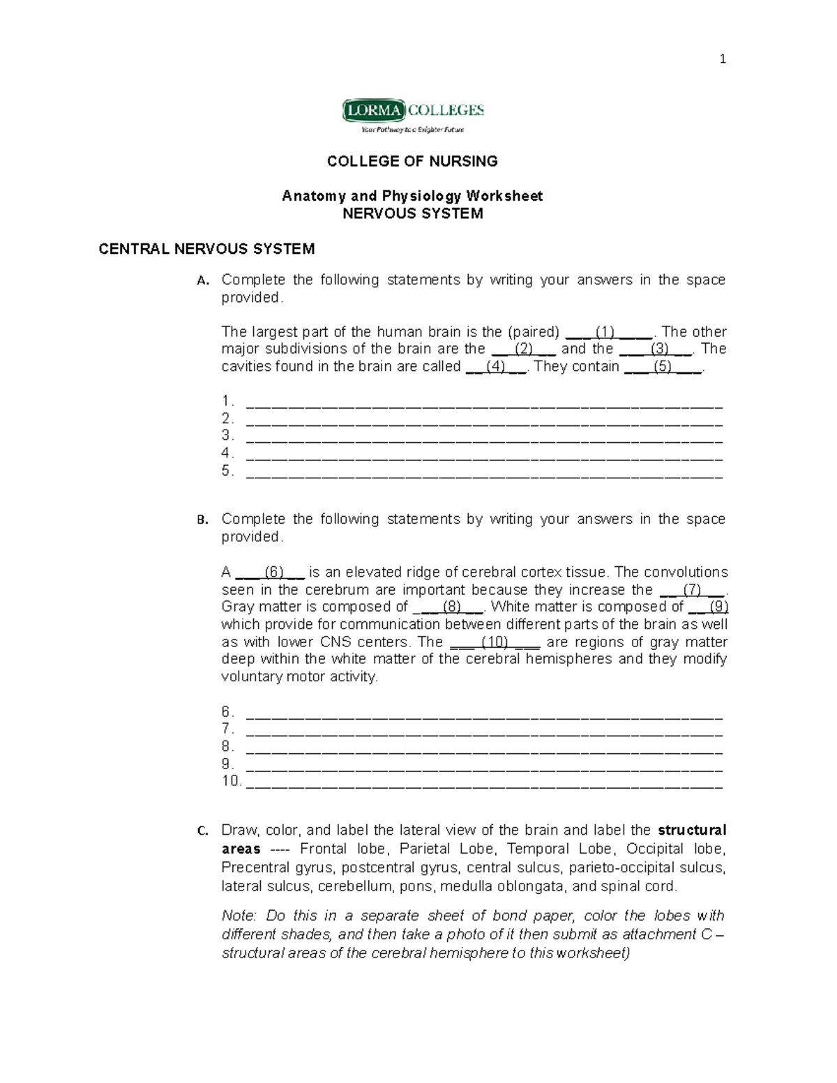 LM 3 Nervous System Worksheet - COLLEGE OF NURSING Anatomy and ...