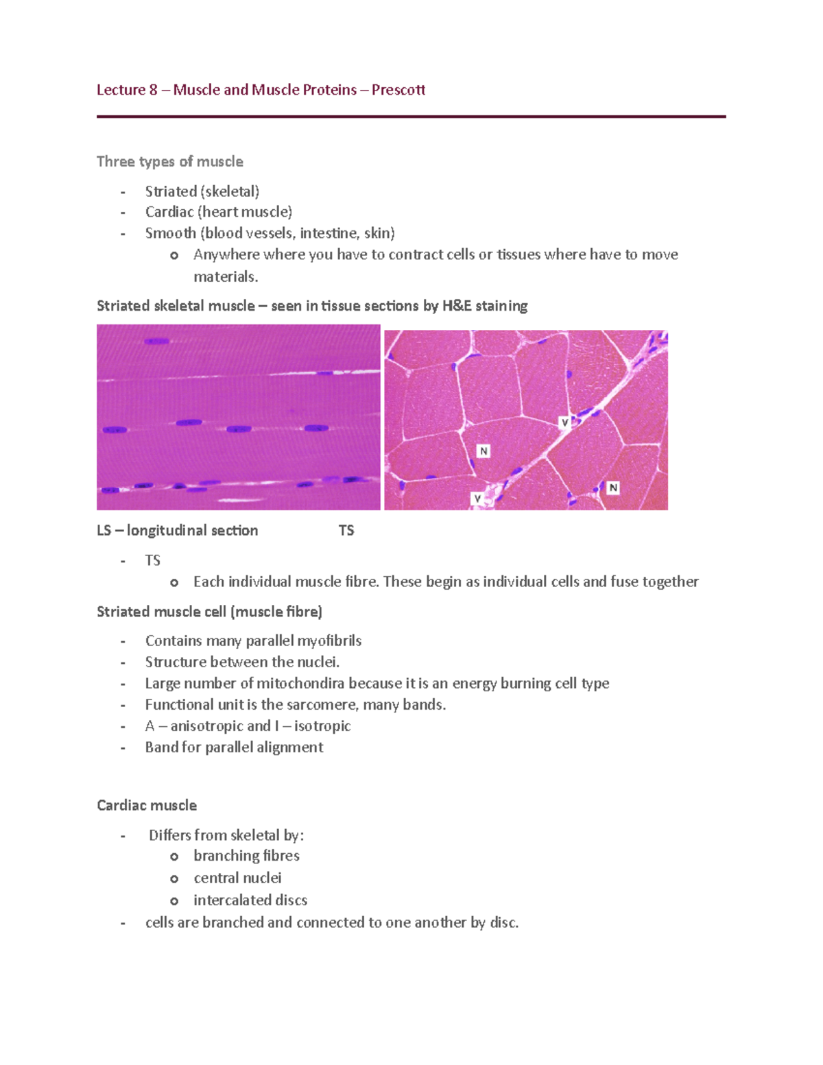 Lecture 8 – Muscle and Muscle Proteins – Prescott - Lecture 8 Muscle ...