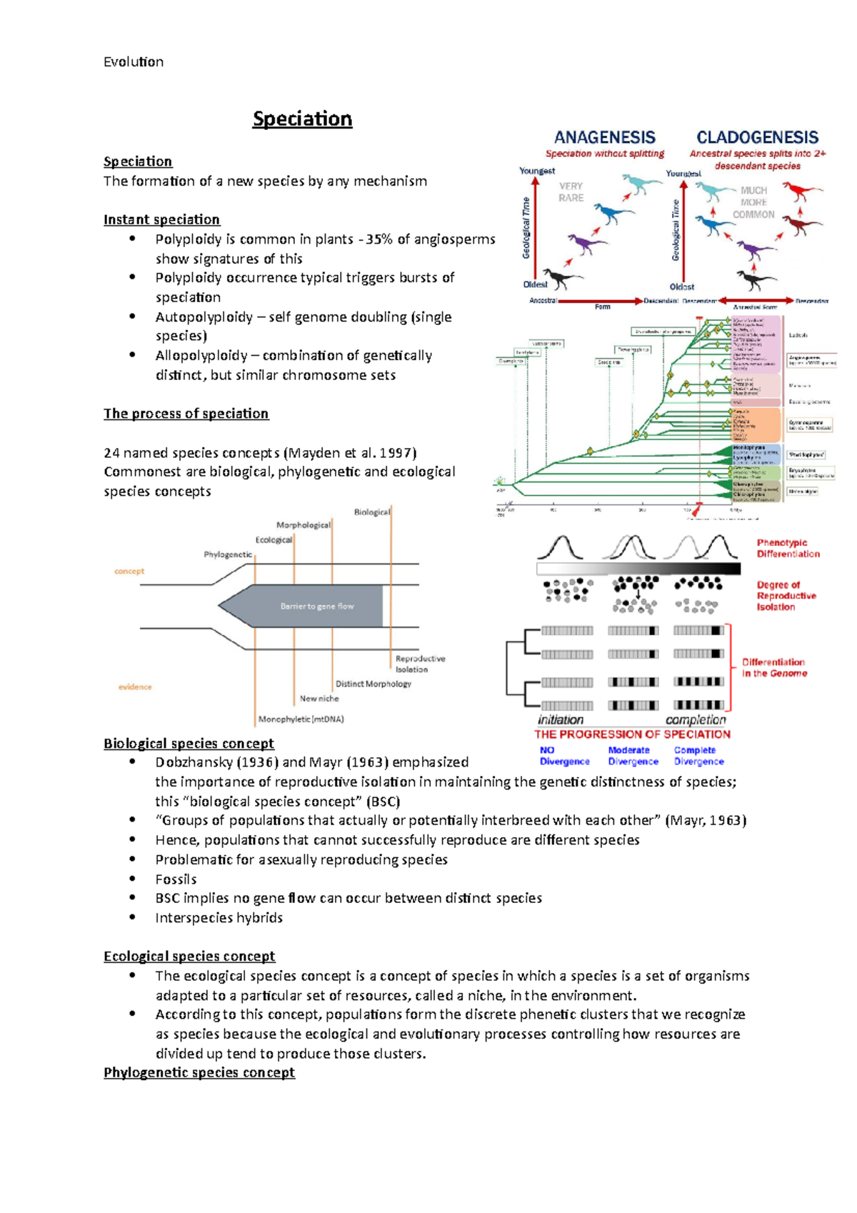 Speciation - notes - Speciation Speciation The formation of a new ...