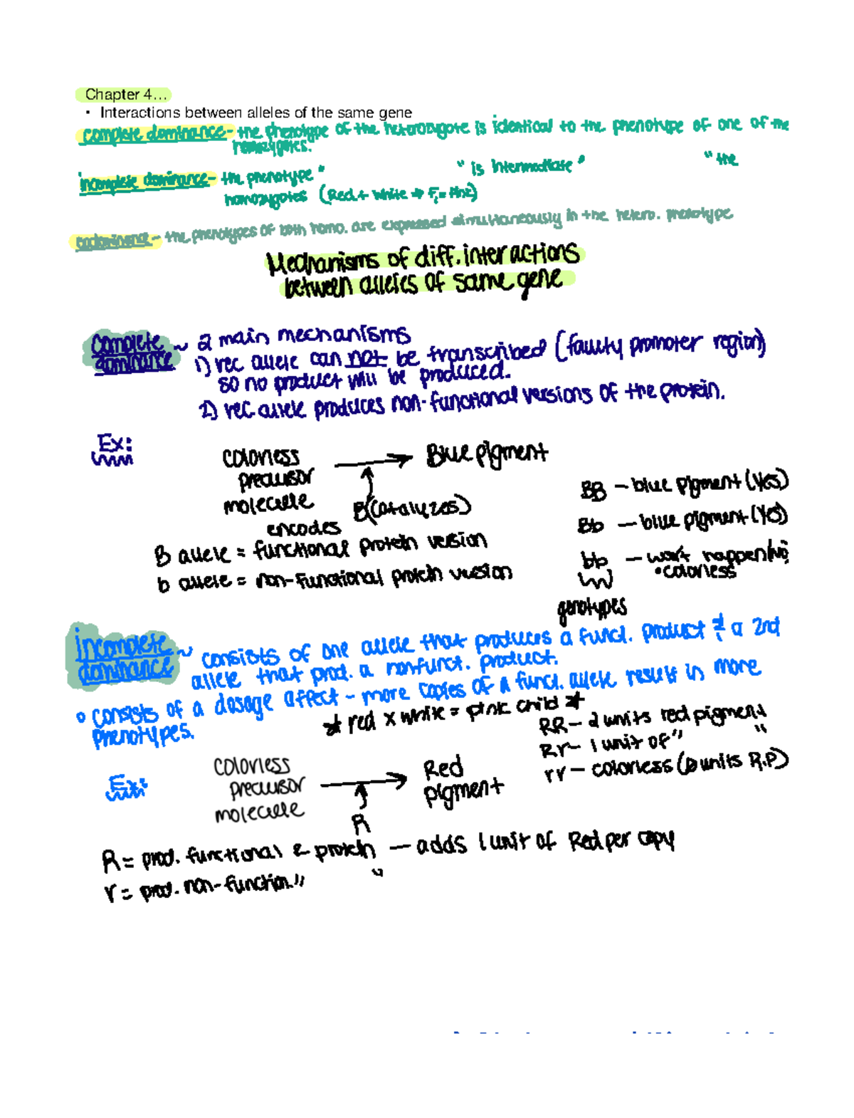 June 6-chapter 4 - Matt Gilg lecture notes for Genetics. - Chapter 4 ...