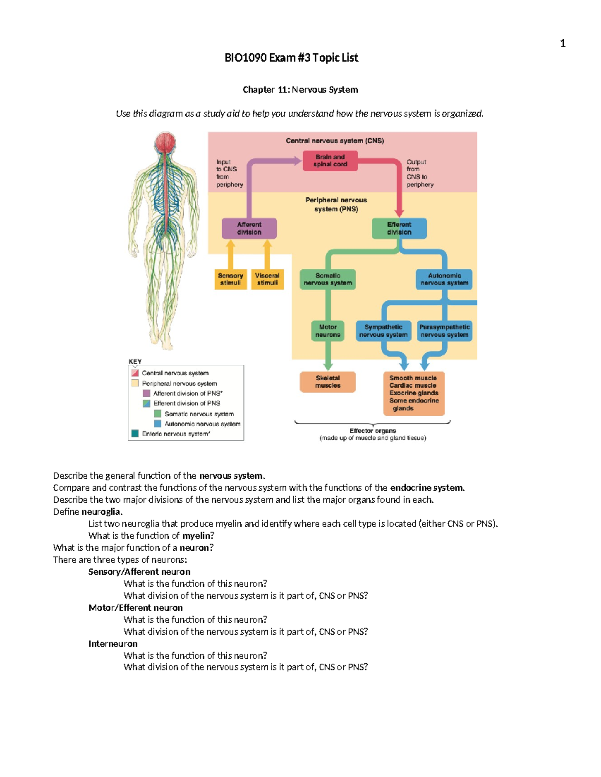 Exam #3 Topic List - love - BIO1090 Exam #3 Topic List Chapter 11 ...