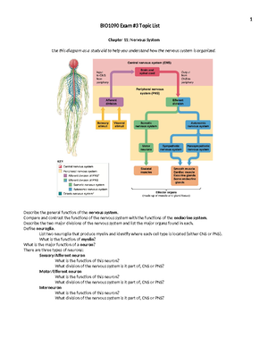 Vital Signs Case Studies - NURS 1010 - Studocu