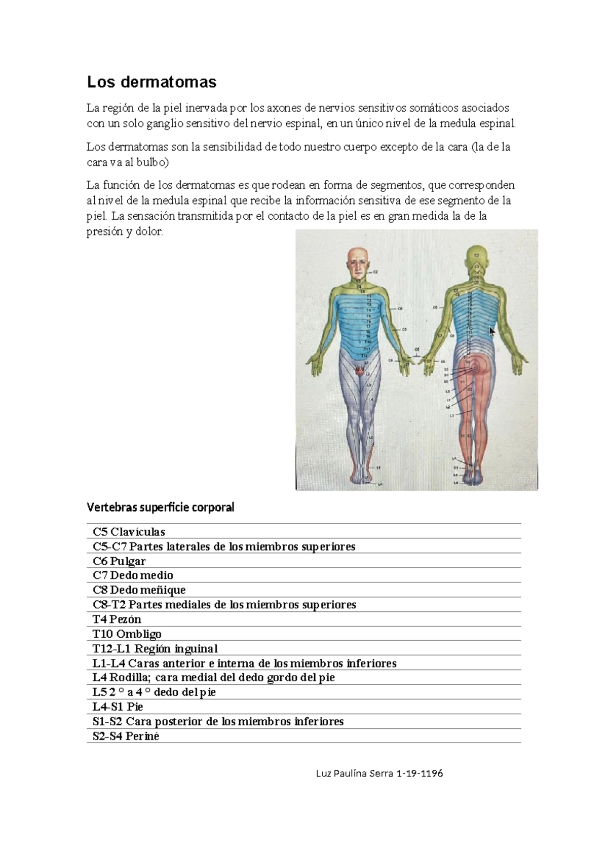 Demarmatomas y miotomas - Los dermatomas La región de la piel inervada ...